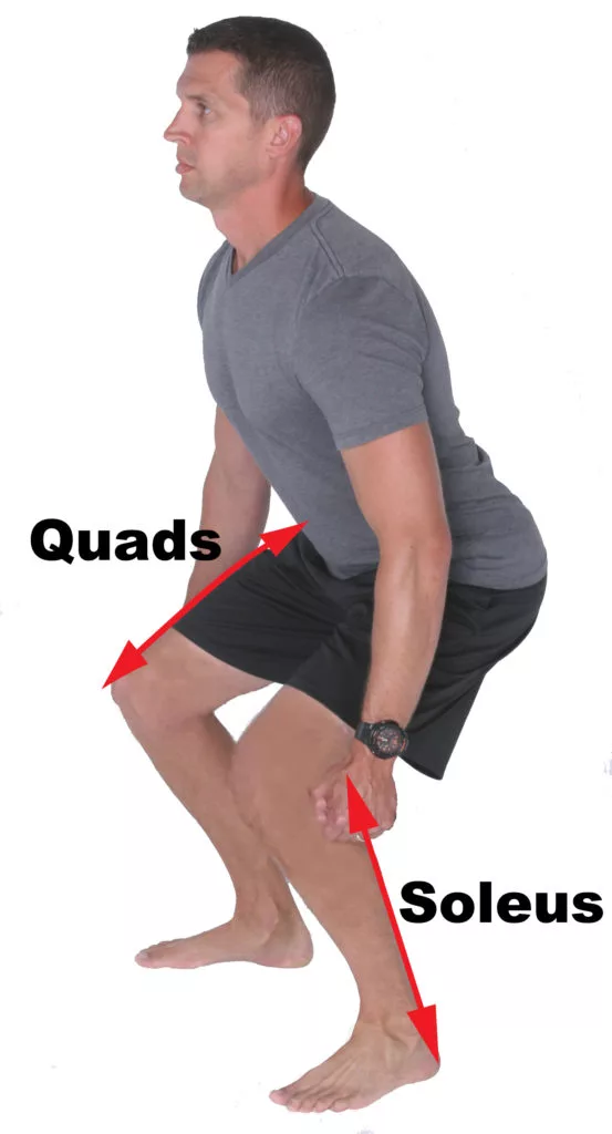 what-is-functional-anatomy-the-biomechanics-method