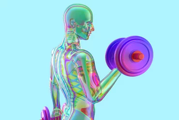 What Is Functional Anatomy? » The BioMechanics Method